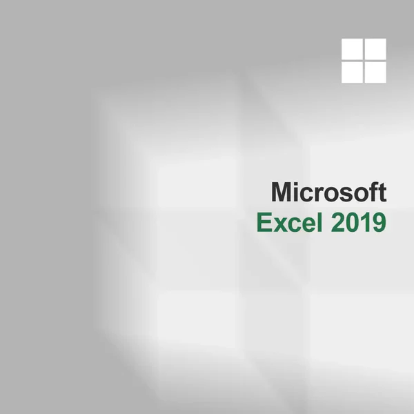 MICROSOFT EXCEL 2019 | Wiresoft